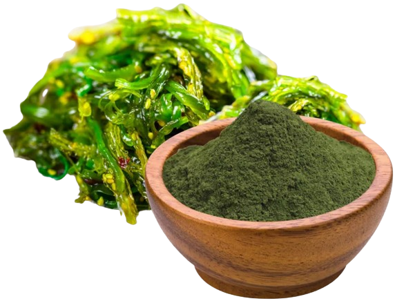 Chlorella a spirulina | SVATS SK ! eshop